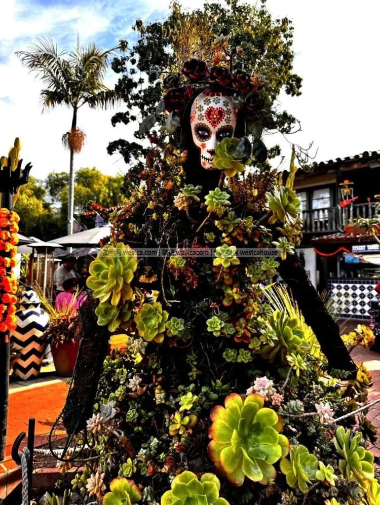 $2百万的退休金生活：温哥华vs圣地牙哥 - 人在温哥华网 VanPeople.com